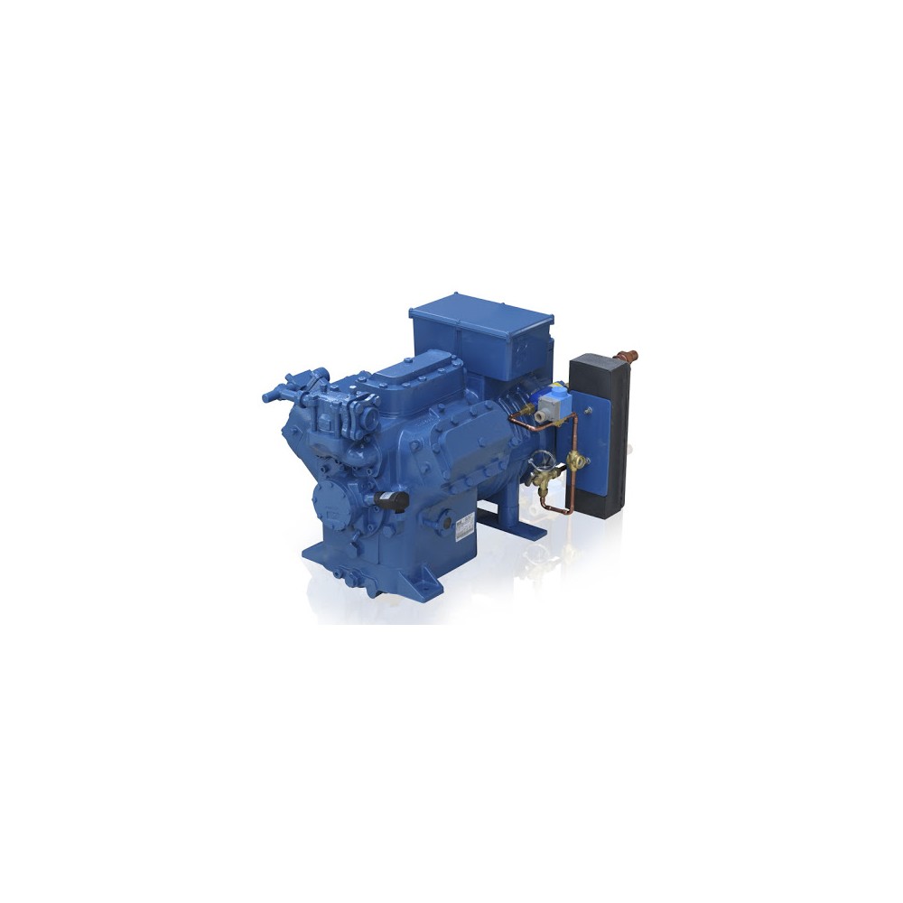 V 10 42-29 Y Frascold Compressor